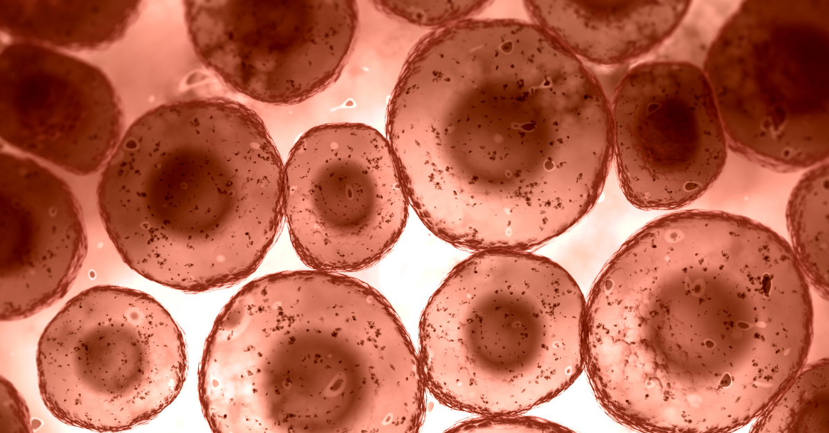 The Complete Guide to Cellular Longevity: How Autophagy, AI-Peptides ...